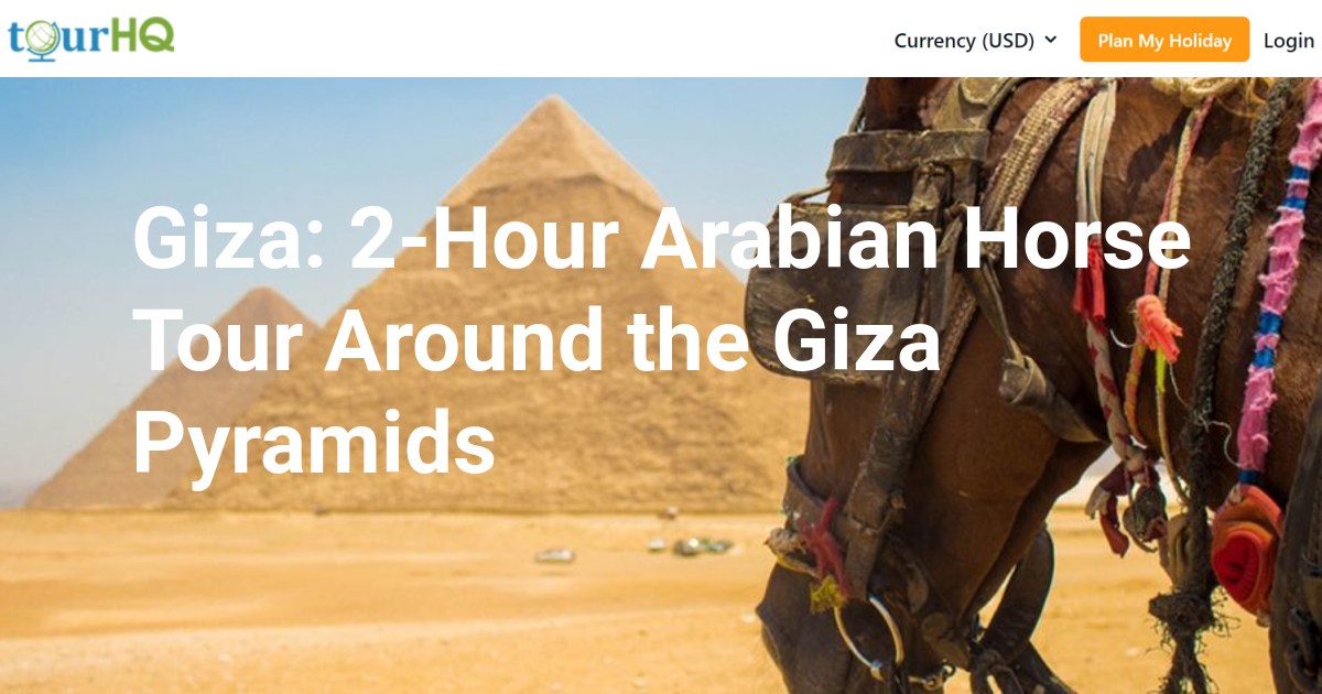 Giza: 2-Hour Arabian Horse Tour Around the Giza Pyramids